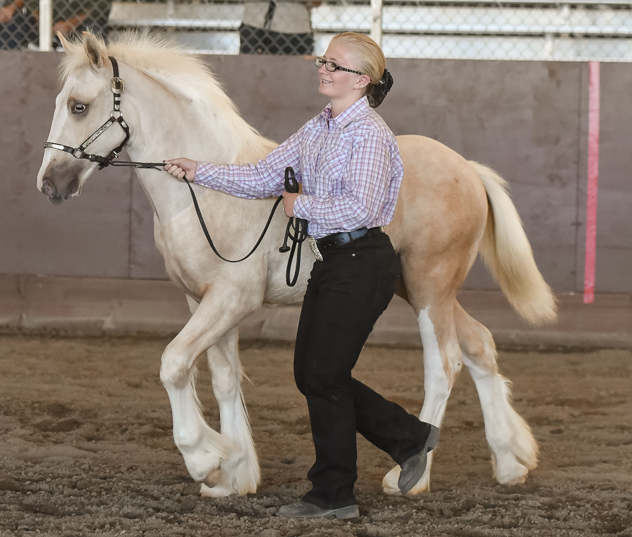 Back in the saddle - The Prospector