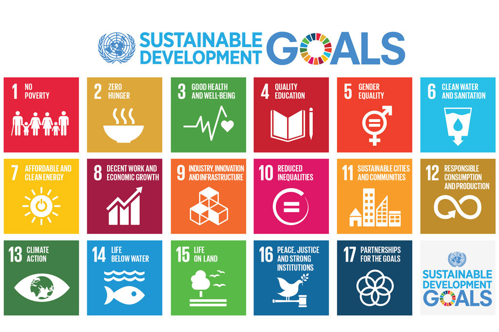 Global Goals, Local Action; Local organizations pursue sustainability ...